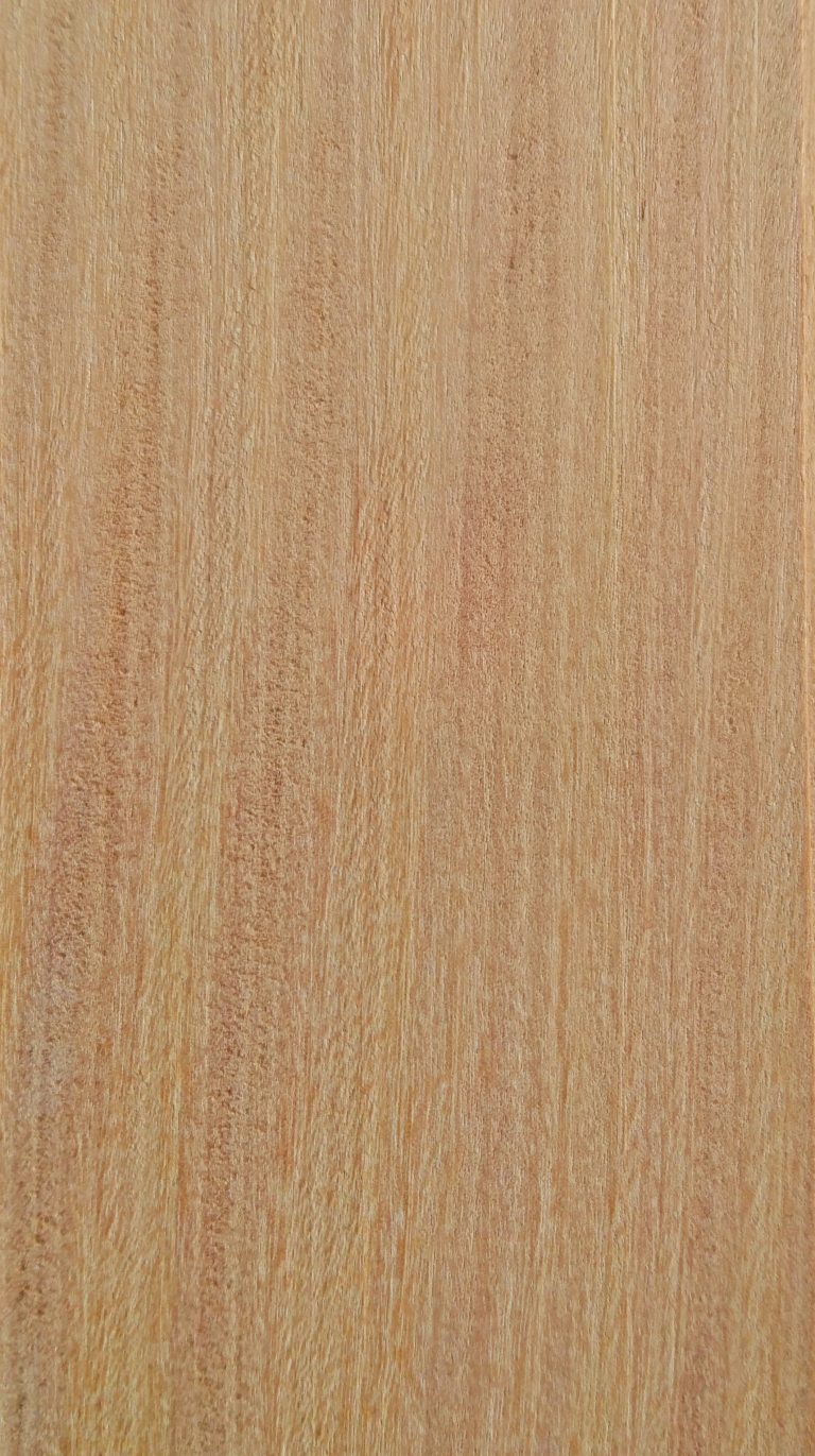 Species – Lumat Maderas